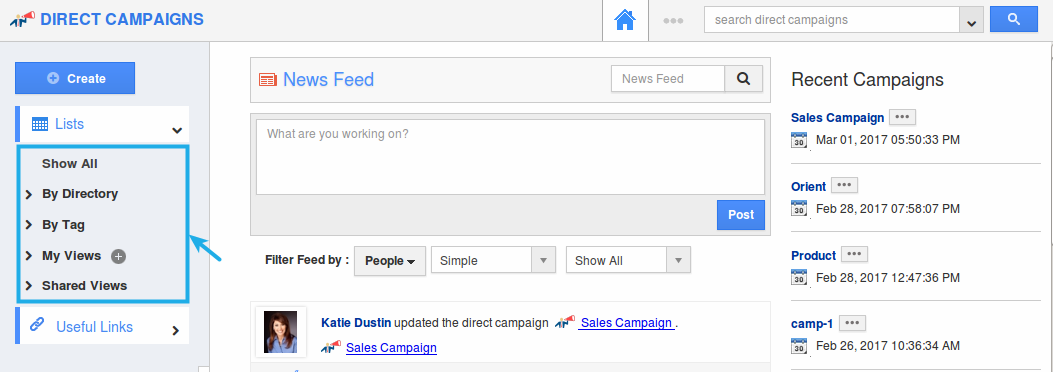 How do I Customize Left Panel Views in Direct Campaigns App?