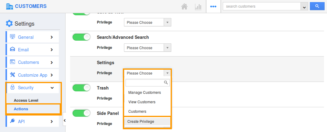 How can I give users permission to access settings option in Customer App?
