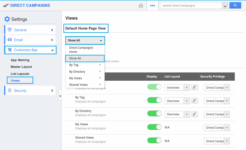 How do I Customize Default Home Page View in Direct Campaigns App?